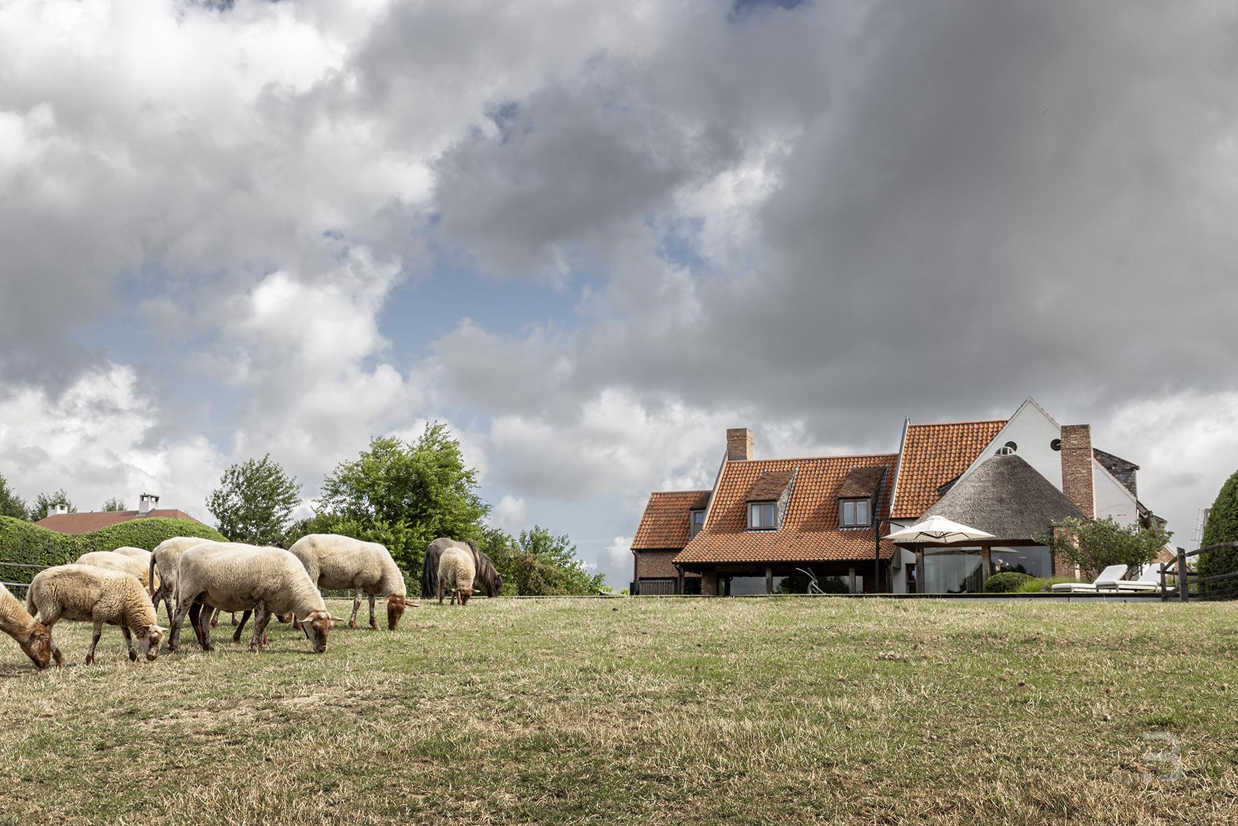 Landelijke tuin met Ha-Ha wall - Tuinarchitect Bart Monbaliu | Regio ...